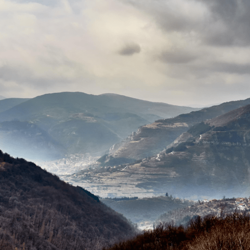 IIMUN by THHSMUN – Hosted by THHSMUN