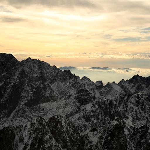 IIMUN by THHSMUN – Hosted by THHSMUN